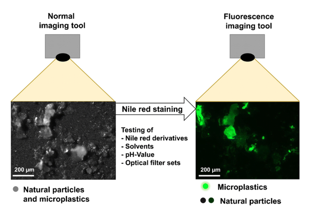 Identification of microplastics using Nile Red (NR) Staining - Solen