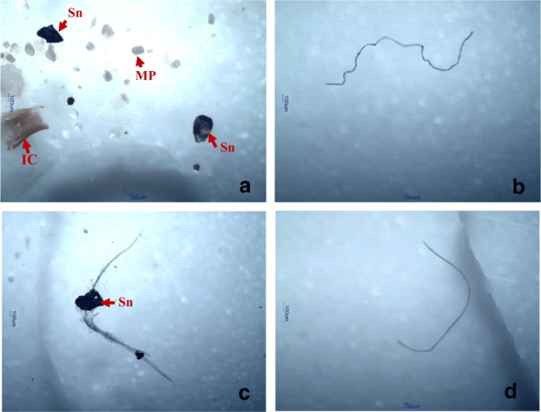 Stereo- (-or Dissecting) Microscopy identification of microplastics - Solen