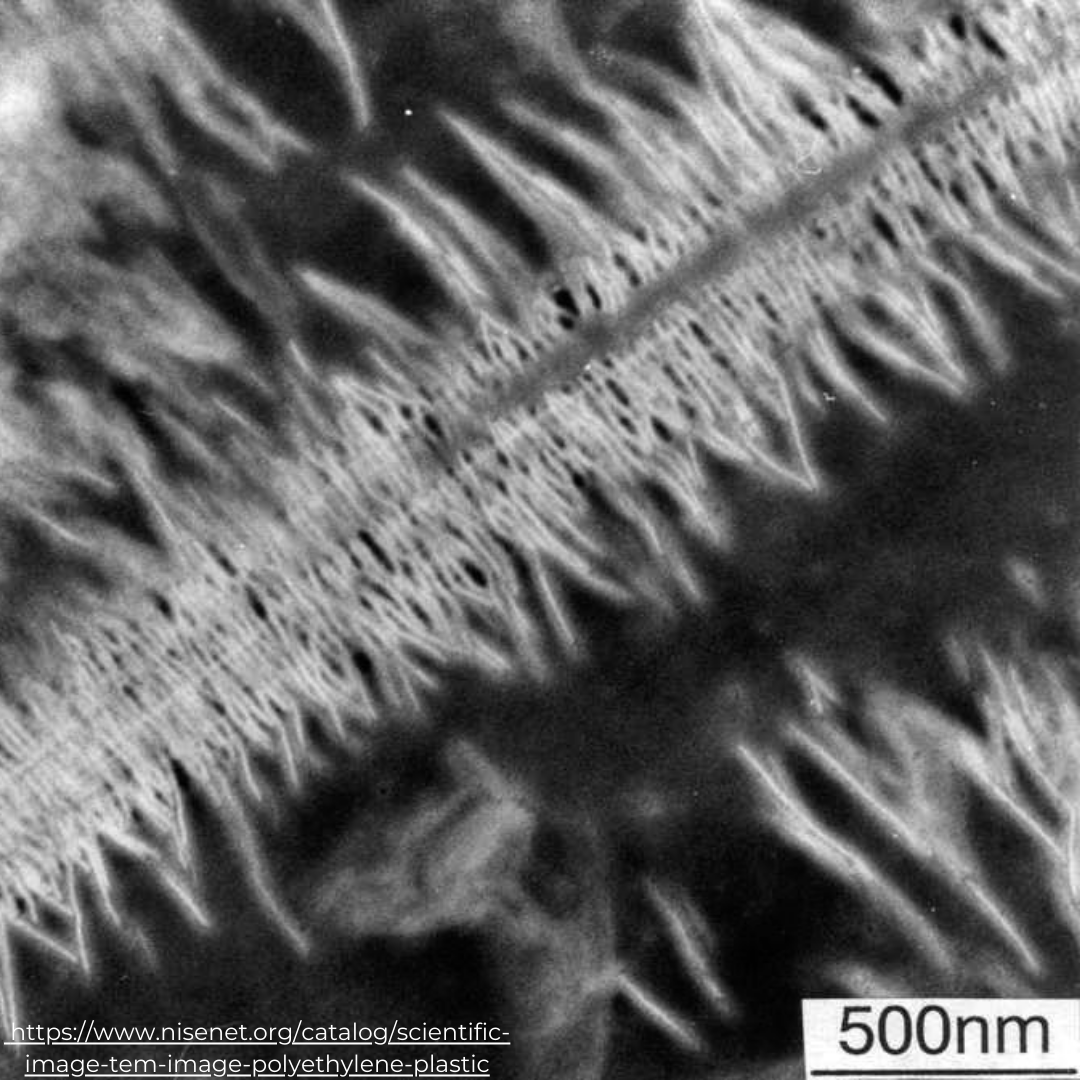 Transmission Electron Microscopy (TEM) and Microplastic (MP) - Solen