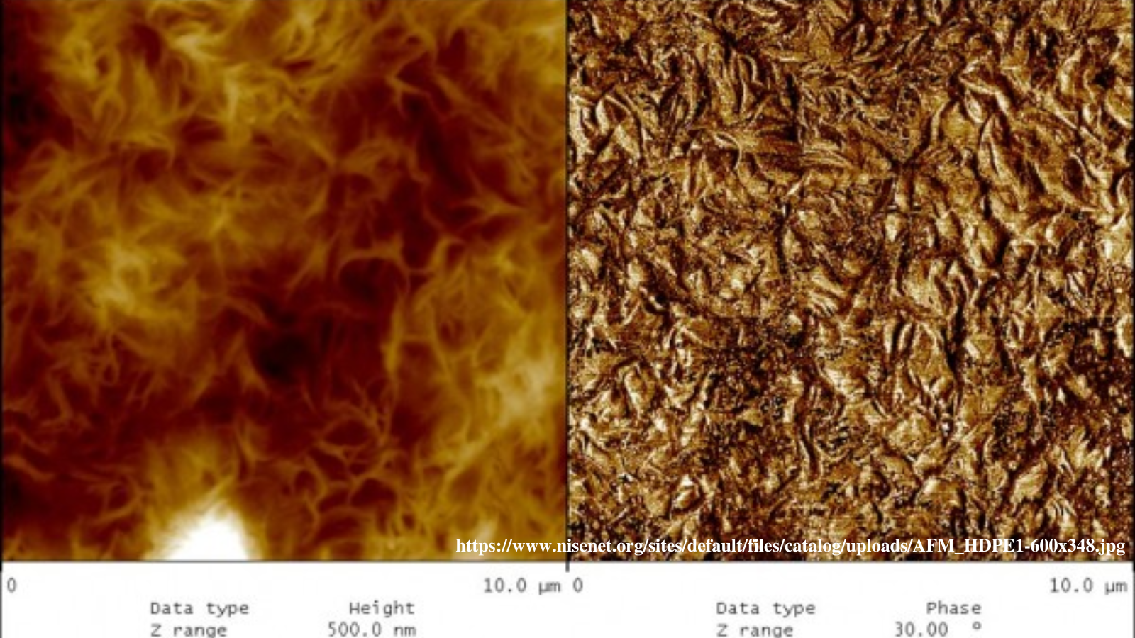 Atomic Force Microscopy and Nanoplastics - Solen