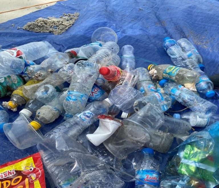 Improper Waste Disposal and Its Impact on the Living Environment of ...